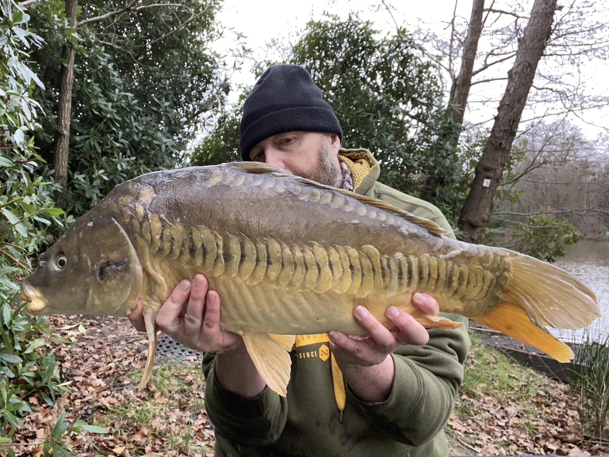 Our Fish - Mid Sussex Angling